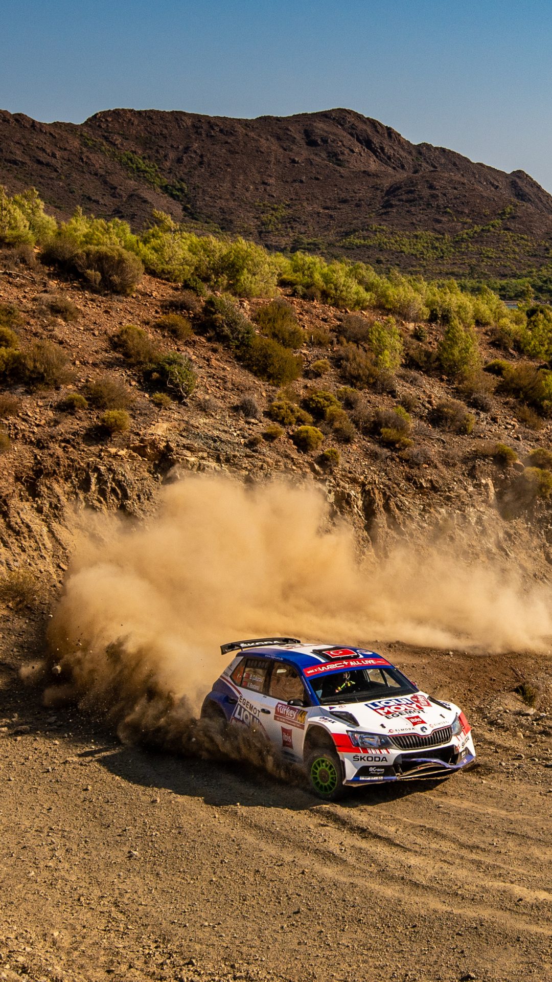 A Rallying Bestseller: ŠKODA FABIA R5 Reaches 300 Sales - Škoda Motorsport