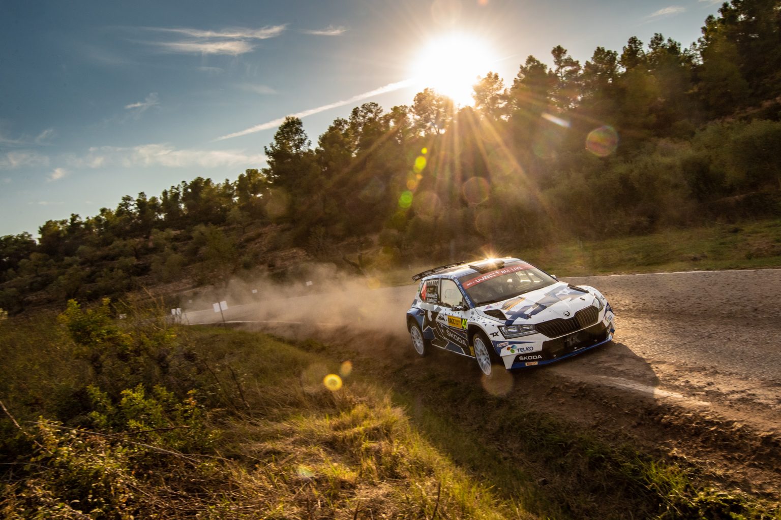 PHOTO: ŠKODA Customer Teams at the Cyprus Rally 2017 - ŠKODA Motorsport