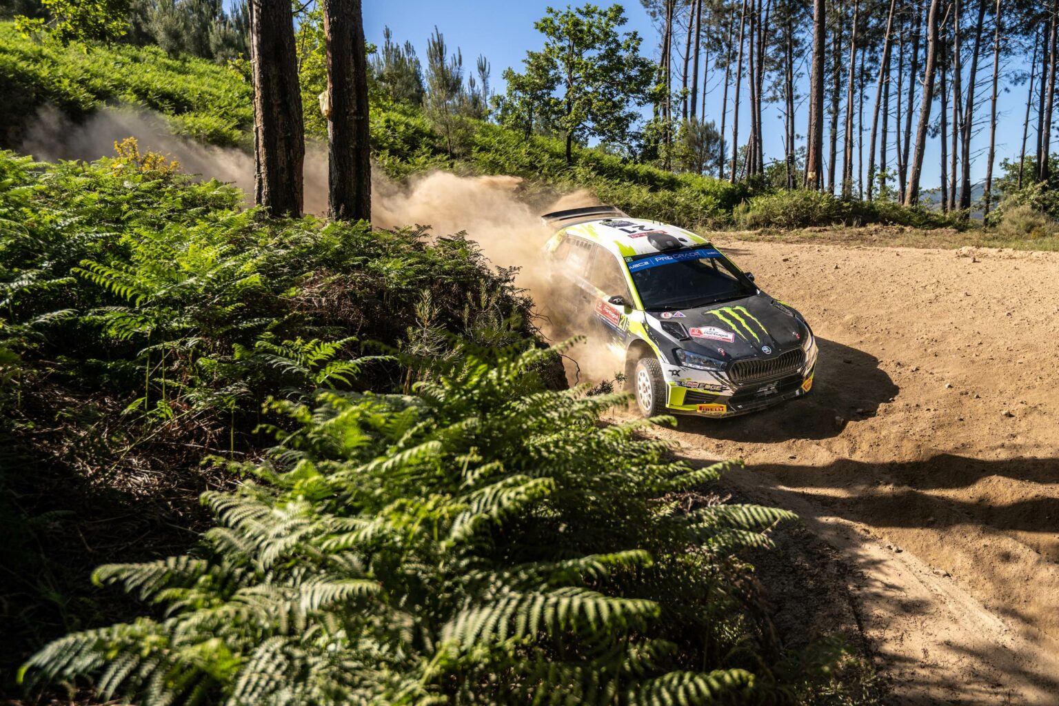 Endurance test | Rally de Portugal - Škoda Motorsport