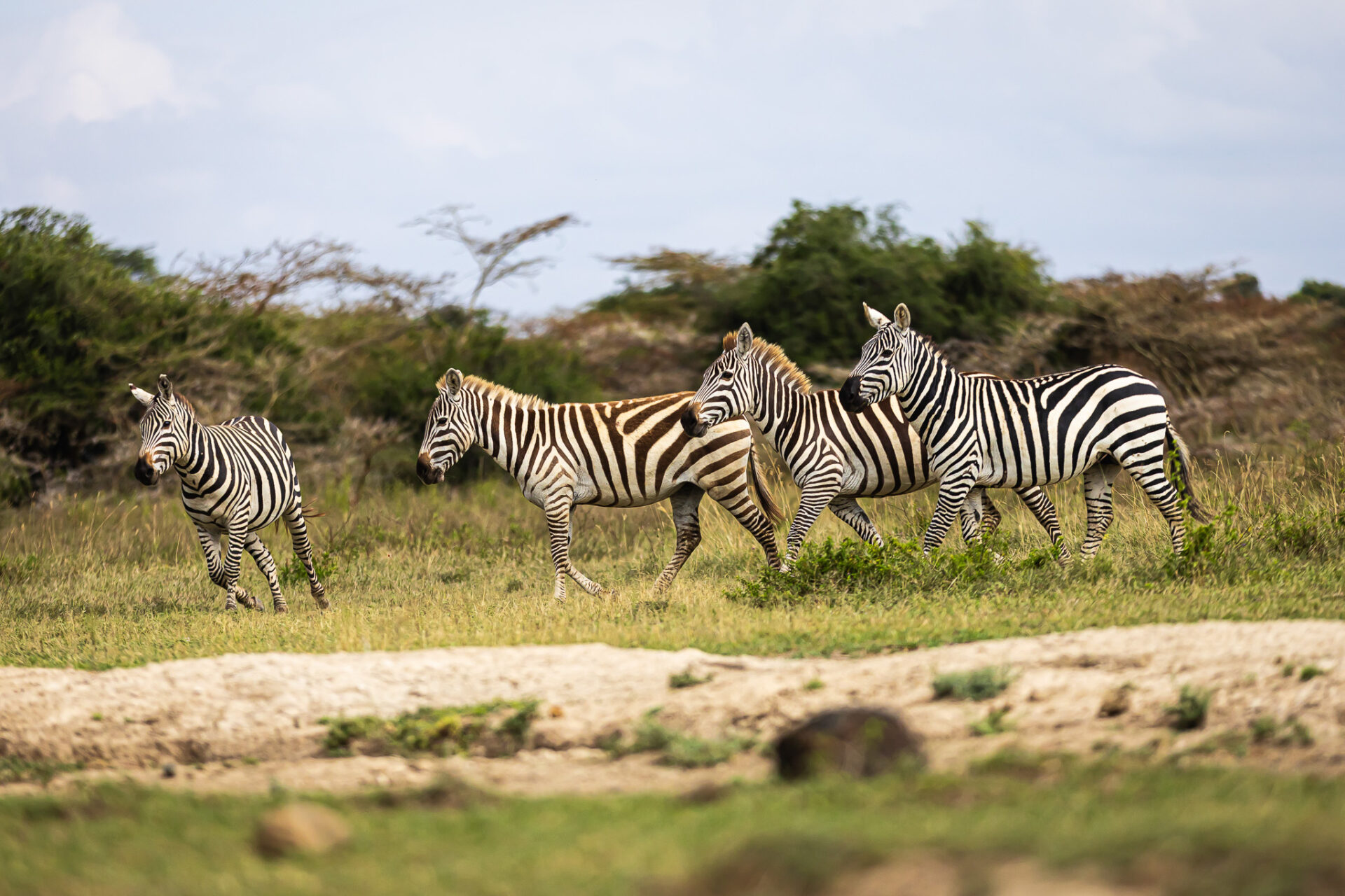 Winning in the Wilderness | Rally Kenya - Škoda Motorsport